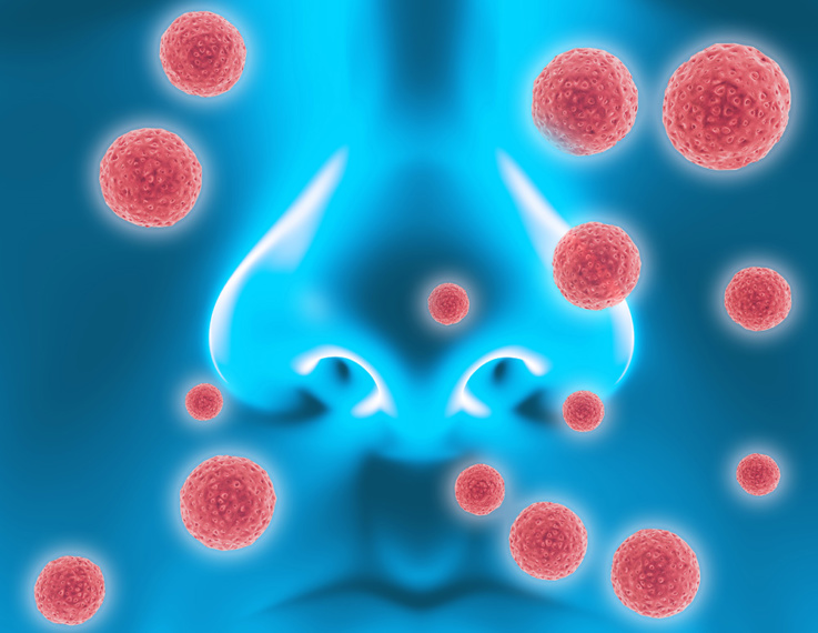 Your Health - Greentek